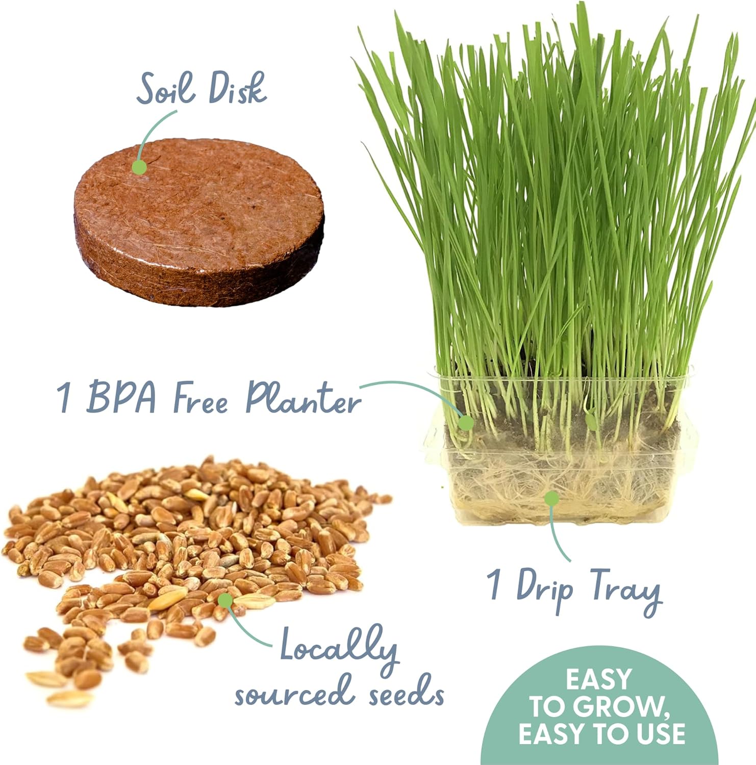 Cat Grass Growing Kit -Organic Seed, Soil and BPA Free containers (Non ...