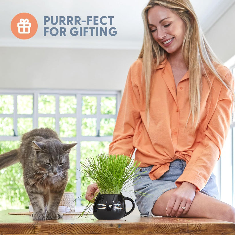 Organic Cat Grass Seed Growing Kit and Planter - The Cat Ladies