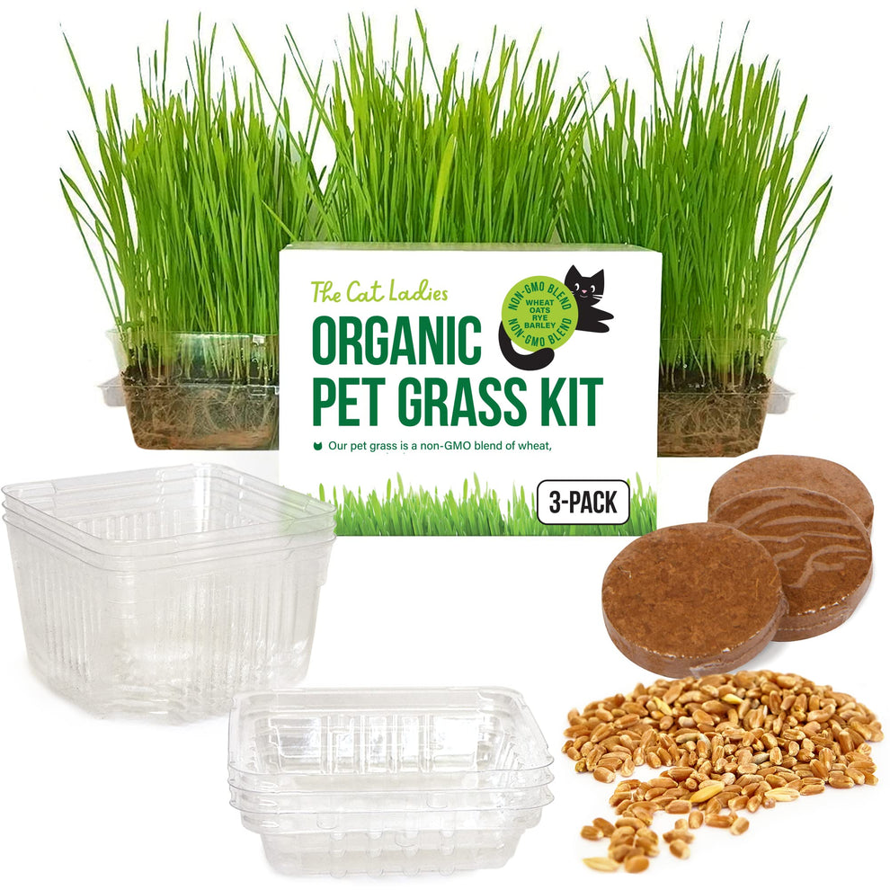 The Cat Ladies Cat Grass for Indoor Cats - Organic Pet Grass Growing Kit